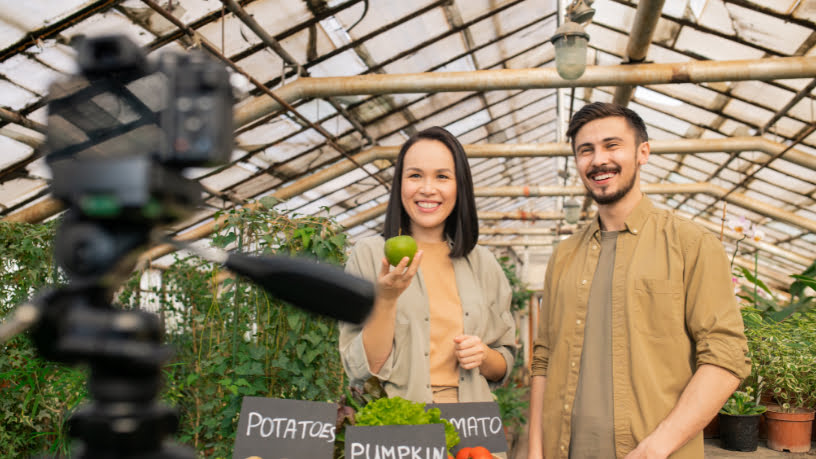 A arte viva da fermentação: sabores, saúde e sustentabilidade na ...